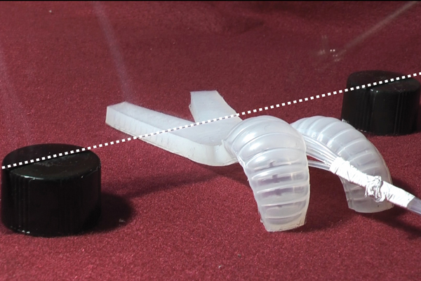 Squishy, Soft Robots Crawl Their Way to the Cutting Edge of Science ...