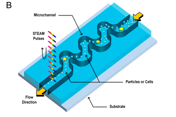 UCLA Researchers Build World’s Fastest Camera to Screen for Cancer ...