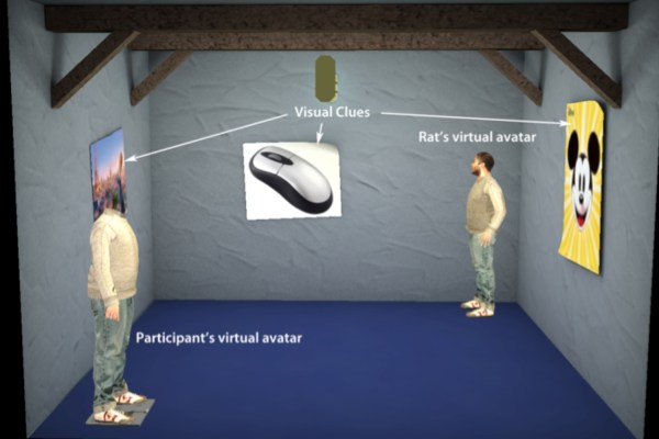 Finally, Humans Can Hang Out with Rats by Using Virtual Reality and ...