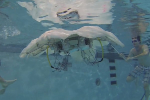 WATCH: Robotic Jellyfish ‘Cyro’ Could Work for Navy, Come After You ...