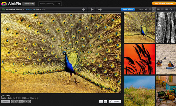The Best Sites for Sharing Photos | TIME.com