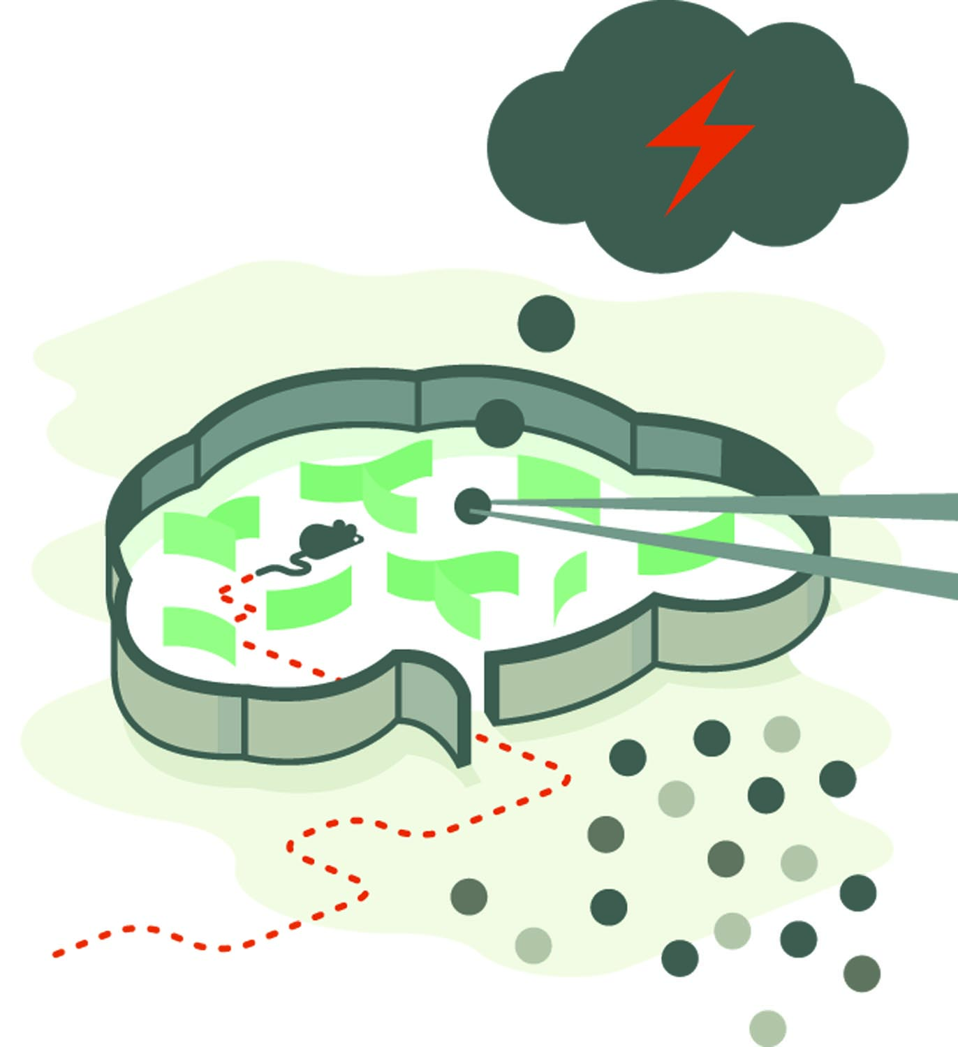 Artificial Memories | The 25 Best Inventions of the Year 2013 | TIME.com