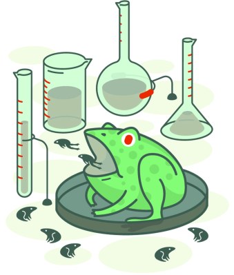 The Gastric-Brooding FROG | The 25 Best Inventions of the Year 2013 ...